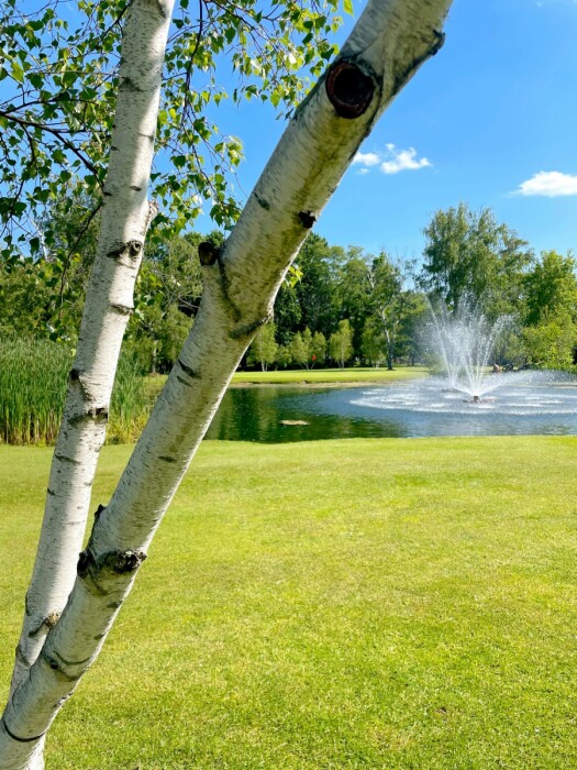 White Birch Golf Course